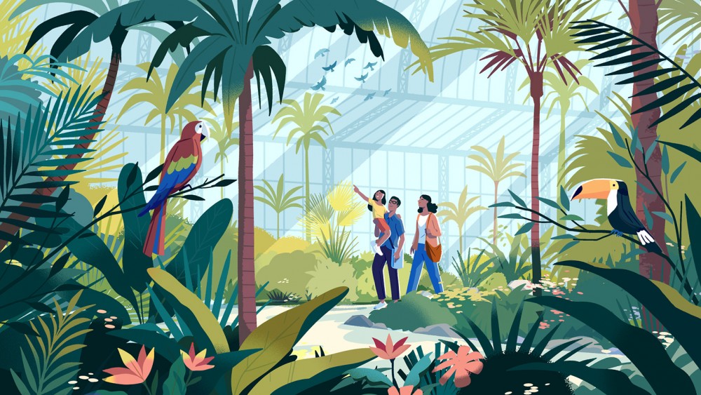 Steve Scott + Illustration + Colagene Paris